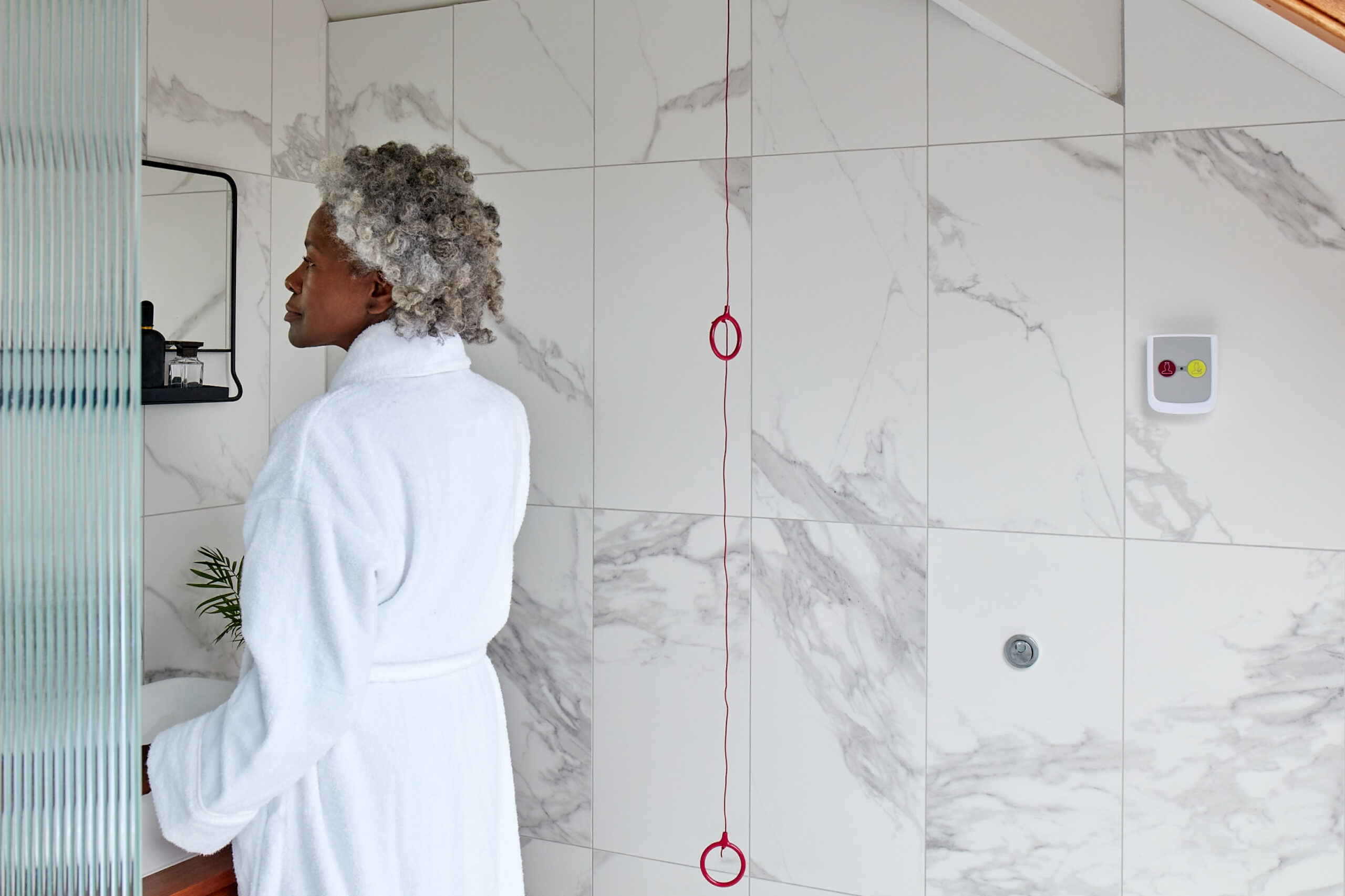 Disabled Toilet Alarms - intercall.co.uk